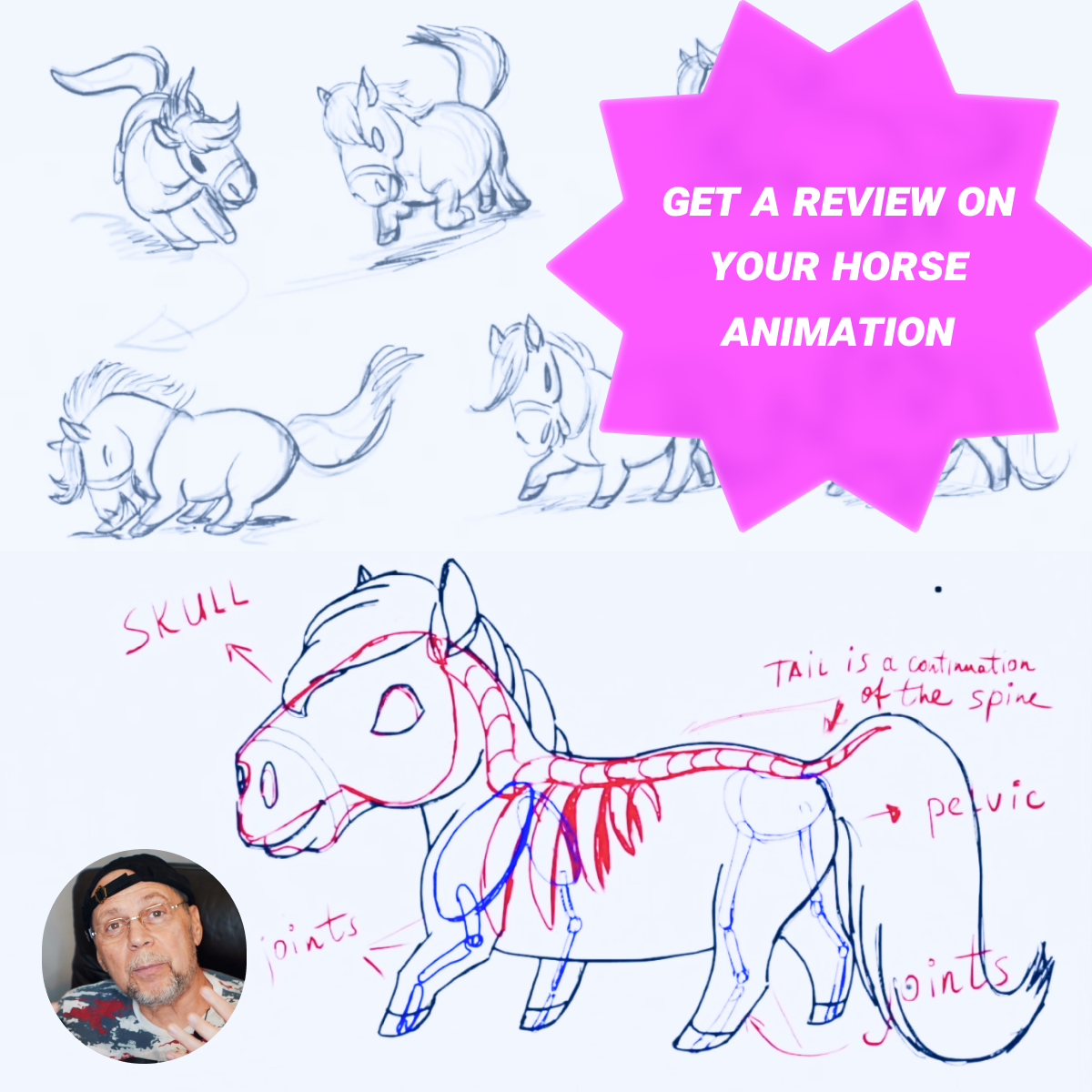 Drawing and Animating a Horse with a review - Dorogov’s Animation Institute